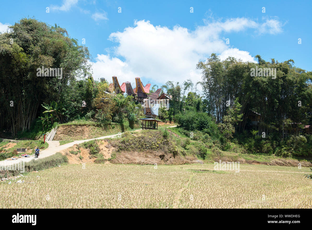 Traditional Alang rice barn, Rantepao, Tana Toraja, South Sulawesi ...