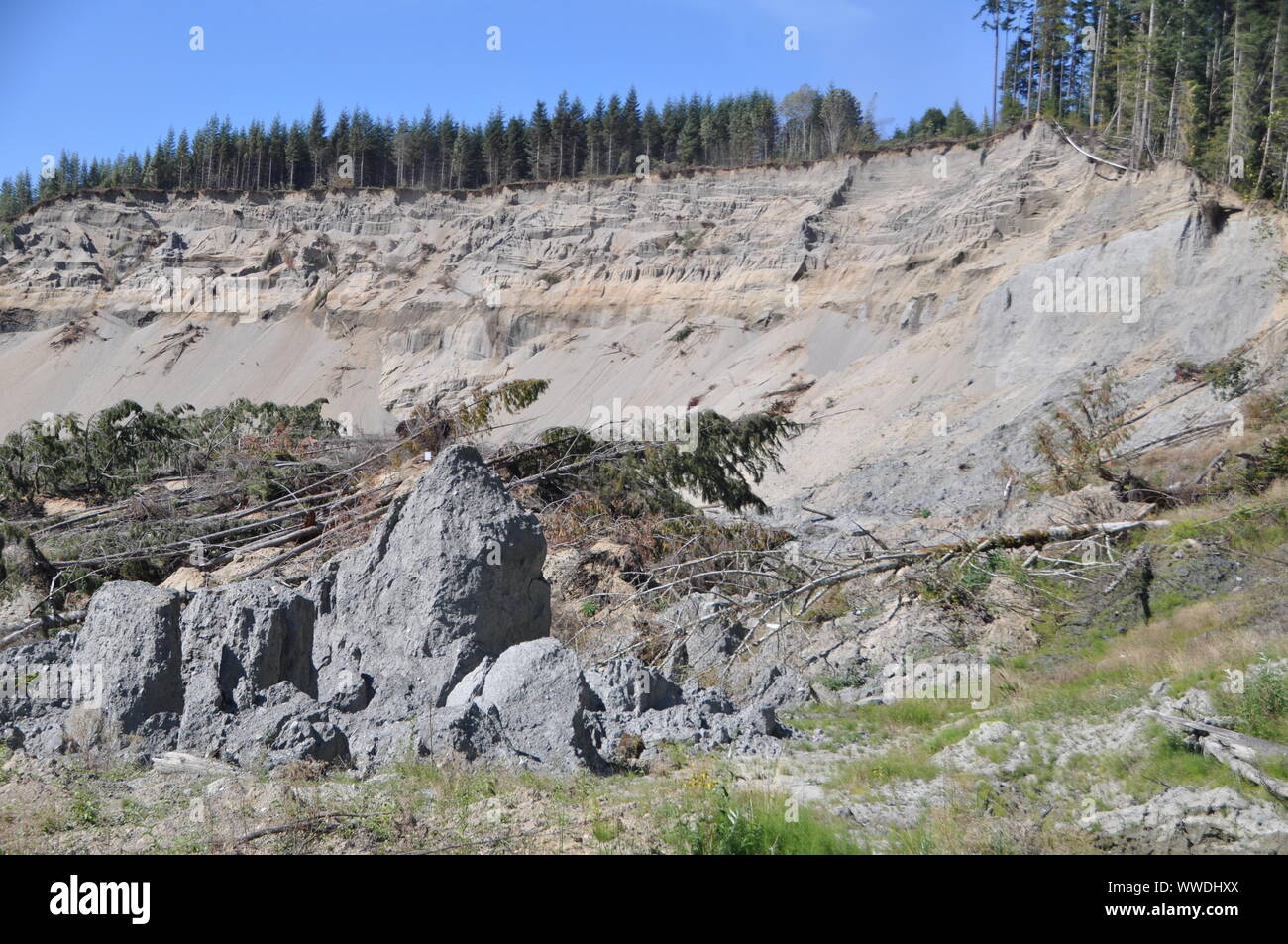 The upper portion of the deadly 2014 Oso Landslide, Oso Landslide ...