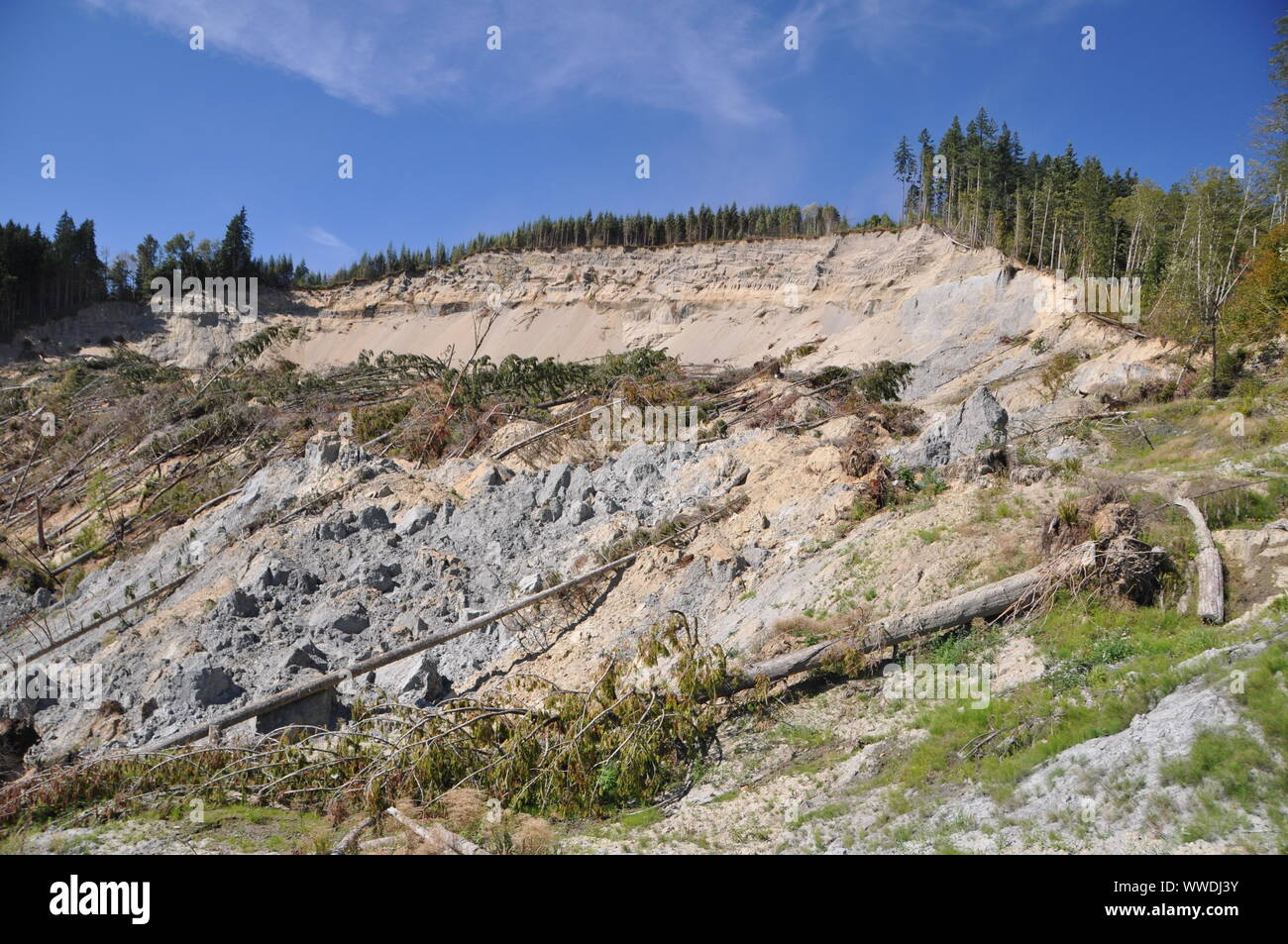 The upper portion of the deadly 2014 Oso Landslide, Oso Landslide ...