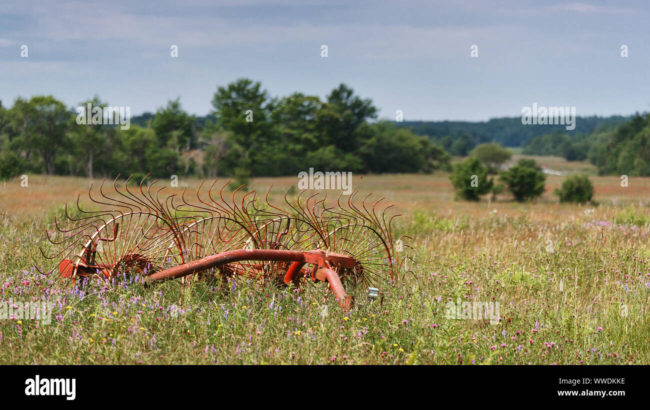 Old hay thrasher in field Stock Photo - Alamy