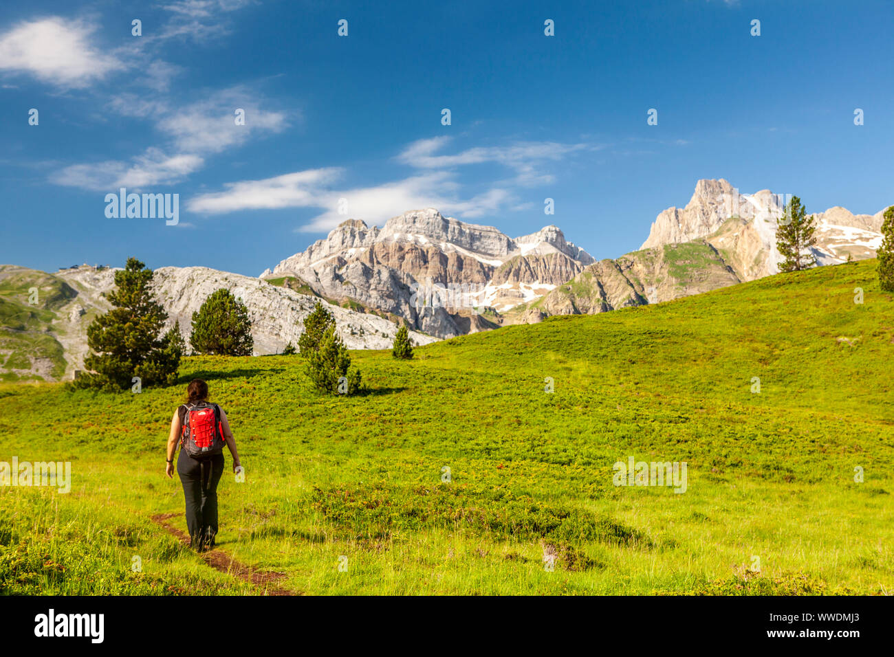 Candanchu tree hi-res stock photography and images - Alamy