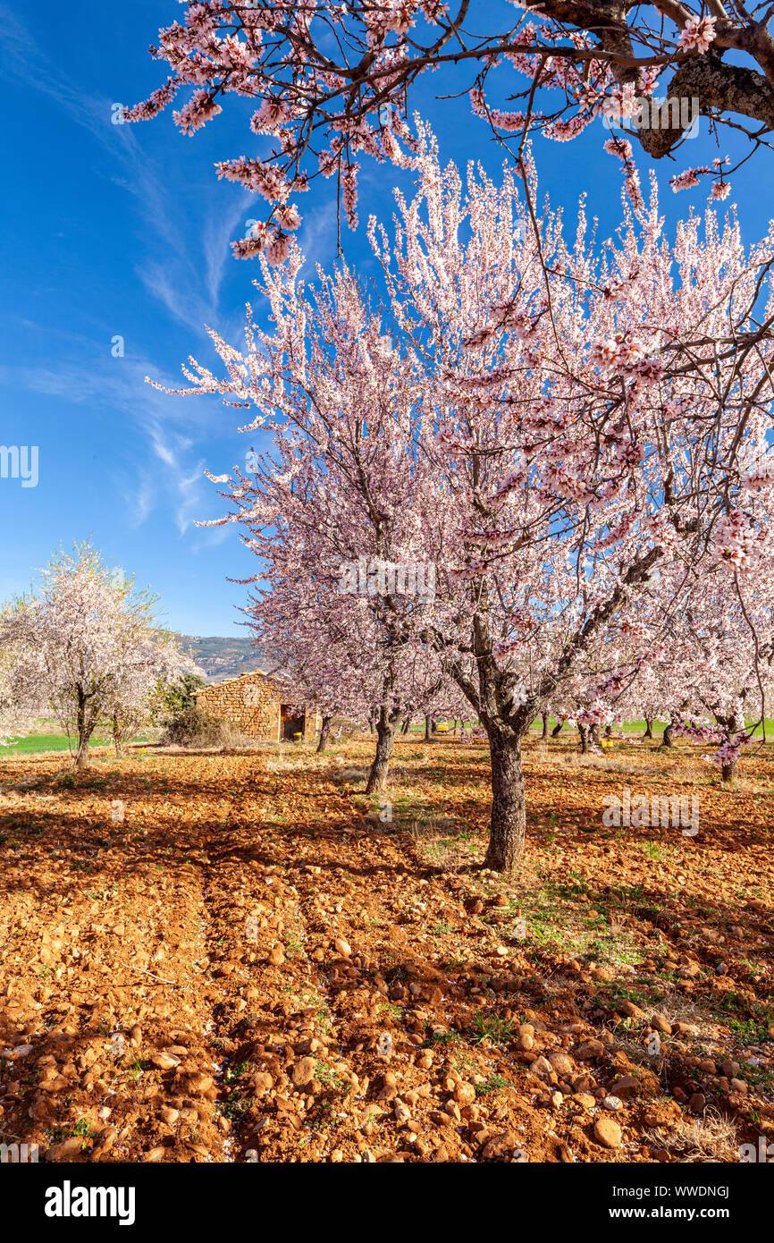 Ayerbe spain hi-res stock photography and images - Alamy