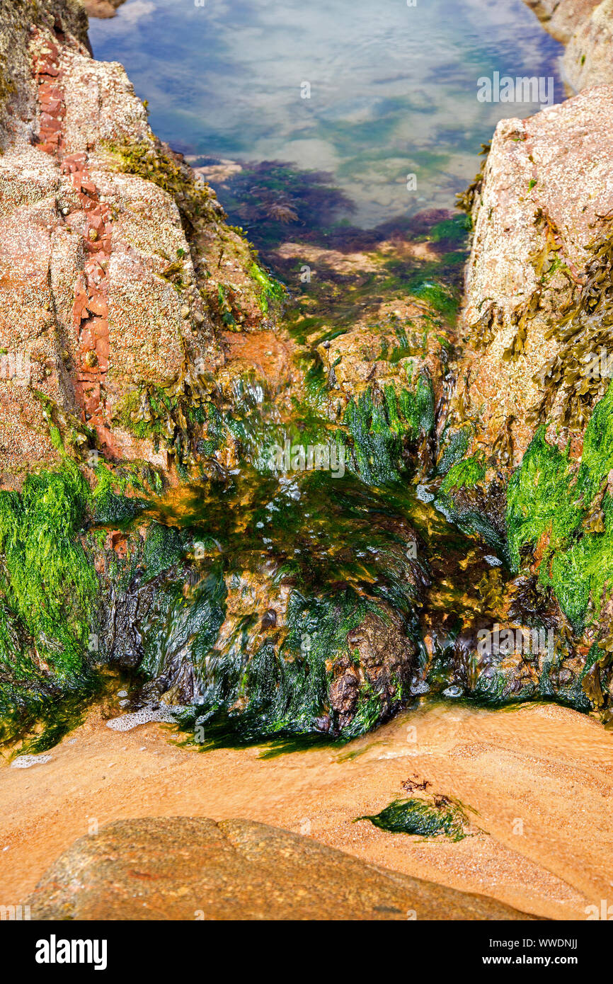 A summer beach scene at Plemont Beach, Jersey, Channel Islands Stock ...