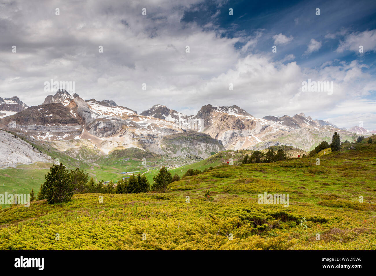 Candanchu tree hi-res stock photography and images - Alamy