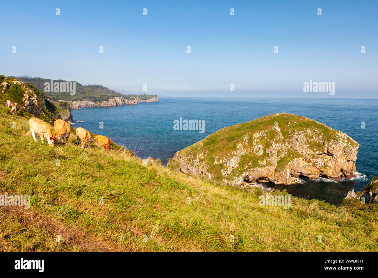 Pechon Spain High Resolution Stock Photography and Images - Alamy