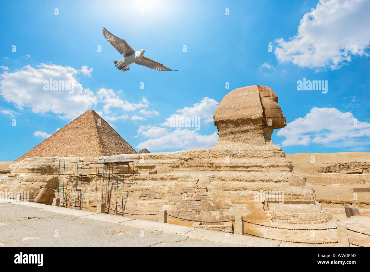 Bird over Pyramid and Sphinx in the desert of Giza, Egypt Stock Photo ...