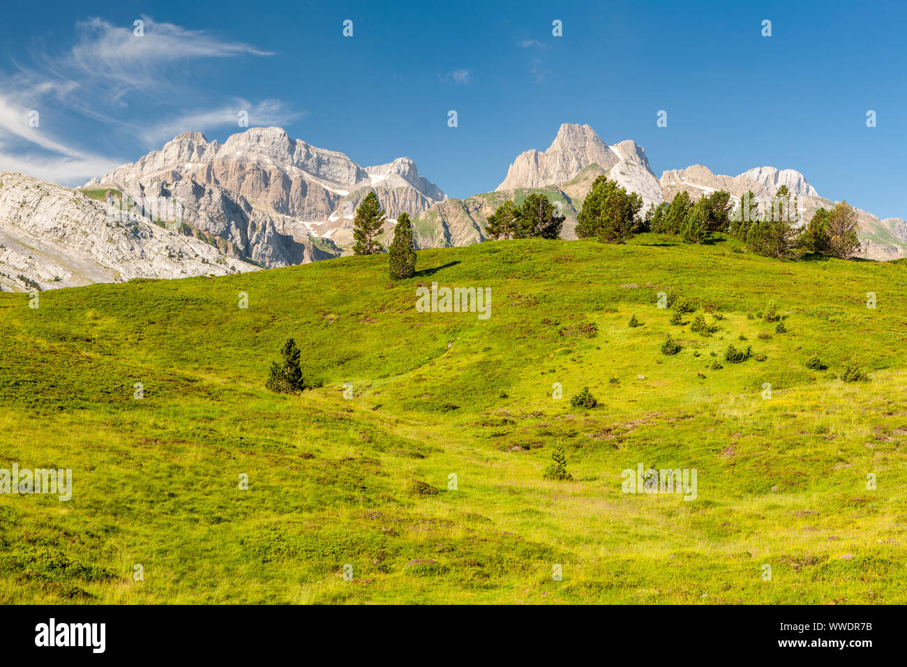 Candanchu tree hi-res stock photography and images - Alamy