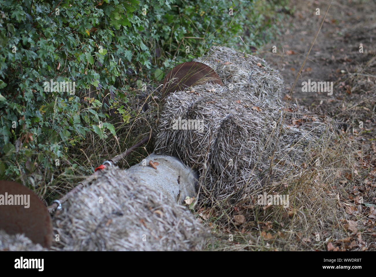 Fox trap hi-res stock photography and images - Alamy