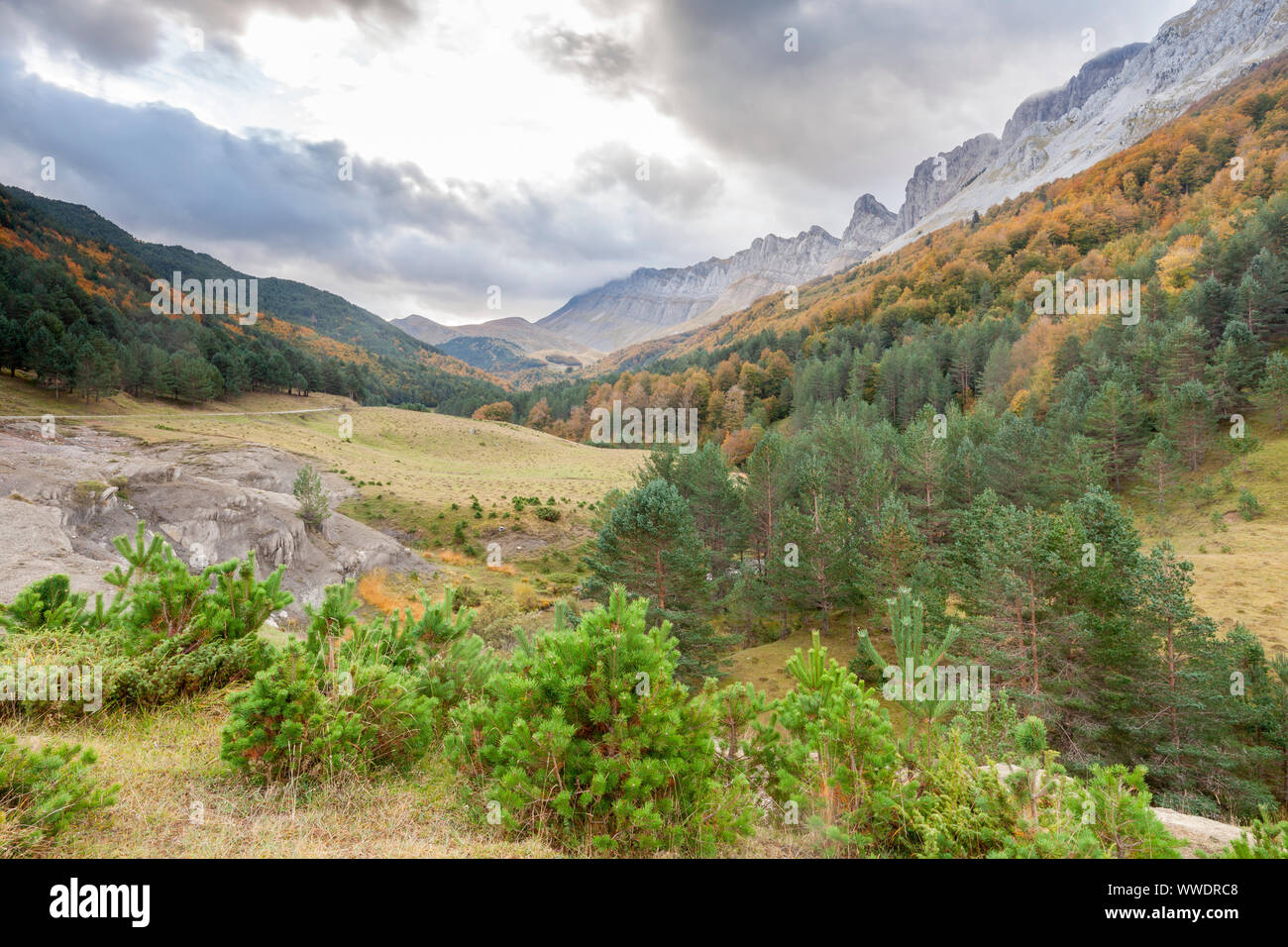 Anso valley hi-res stock photography and images - Alamy
