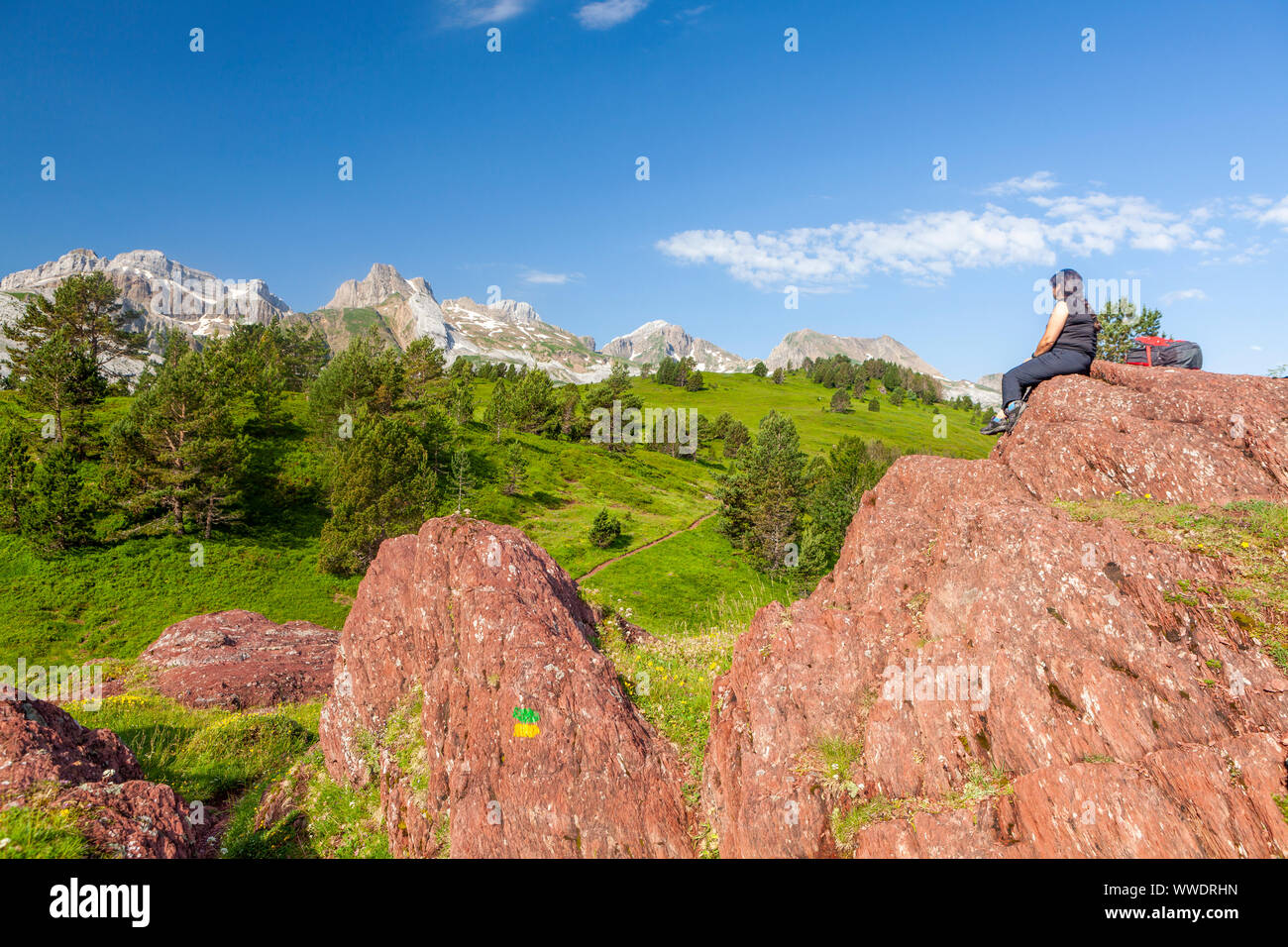 Candanchu tree hi-res stock photography and images - Alamy