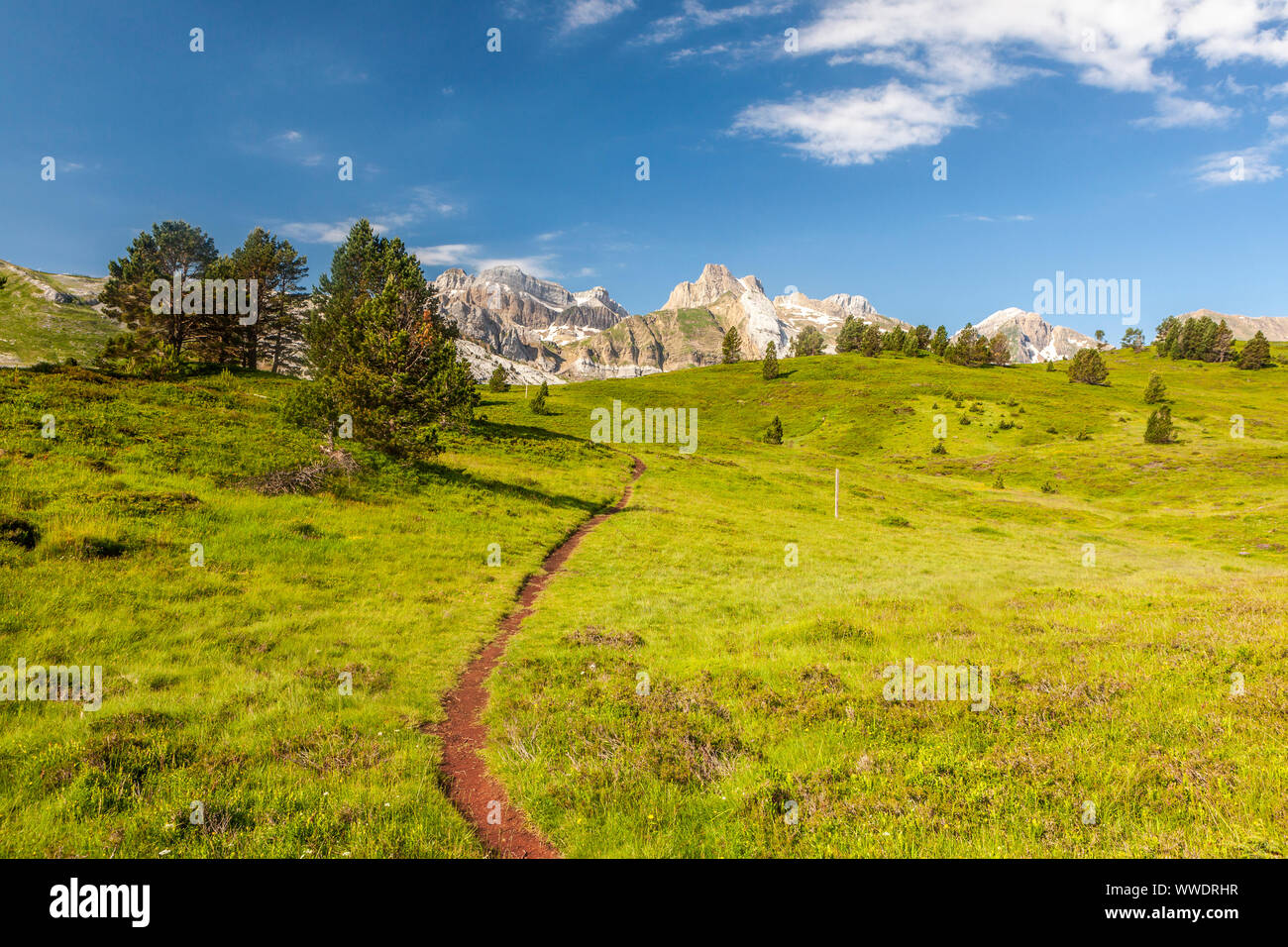 Candanchu tree hi-res stock photography and images - Alamy