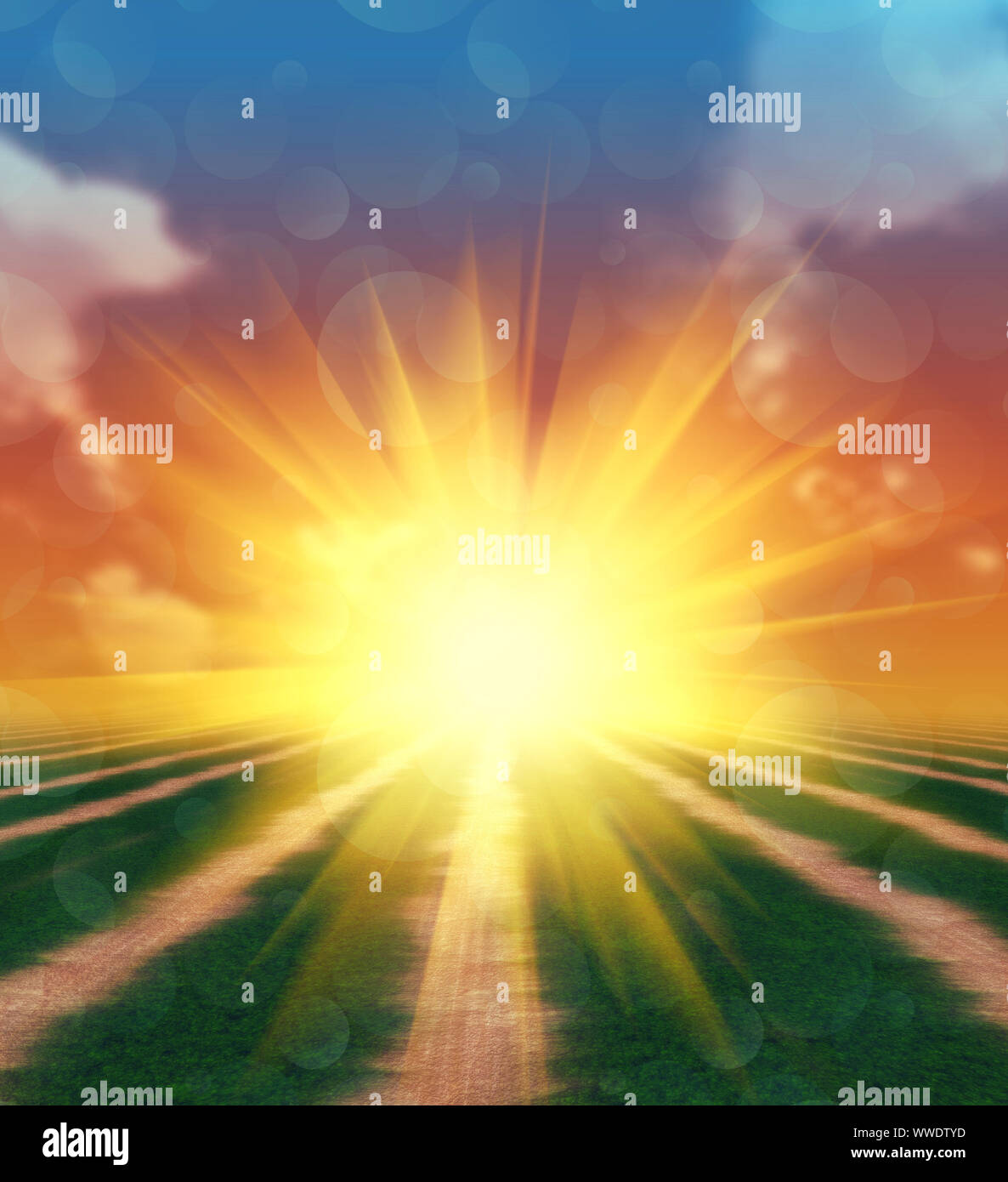 Colorful sunset scene with grass field and bit sun with rays Stock ...