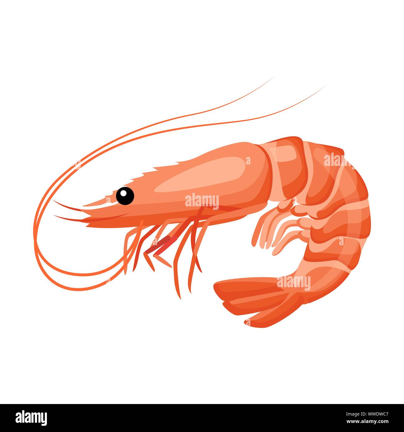 Fresh raw prawn in Stock Vector Images - Alamy