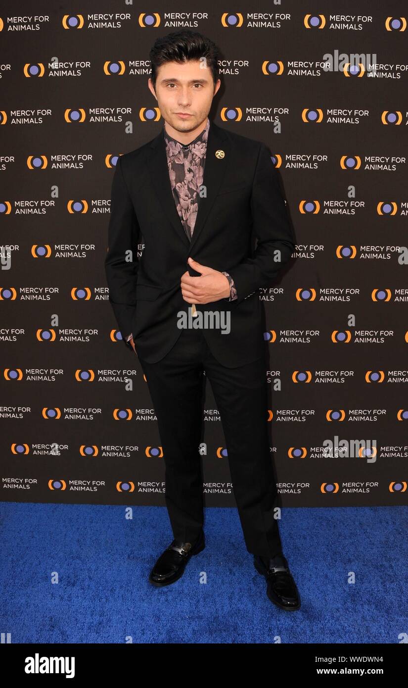 Los Angeles, CA. 14th Sep, 2019. Mateus Ward at arrivals for Mercy For ...