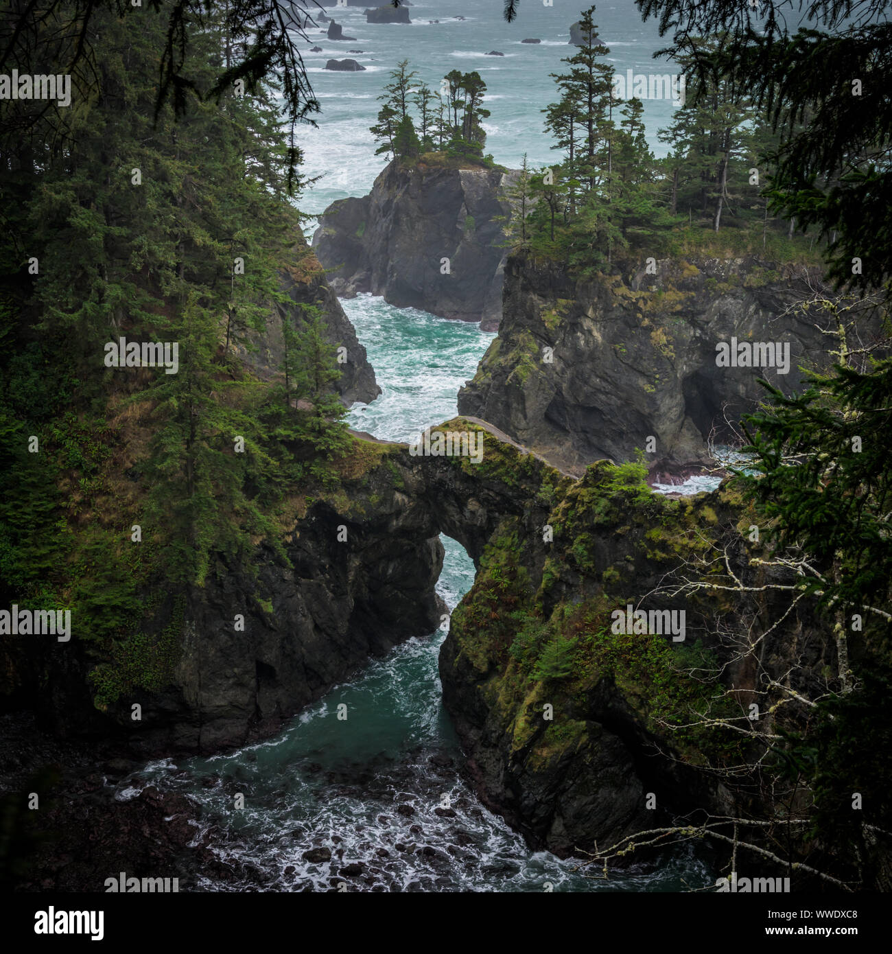 Pacific Coast Cliffs on Cloudy Day along Oregon shore Stock Photo - Alamy