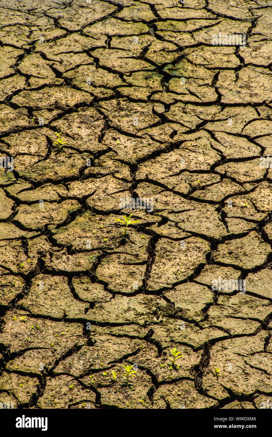 Parched lands hi-res stock photography and images - Alamy