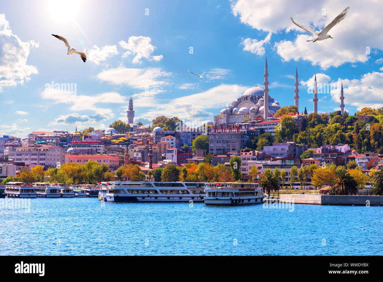 The Suleymaniye Mosque, beautiful view from the Golden Horn inlet ...