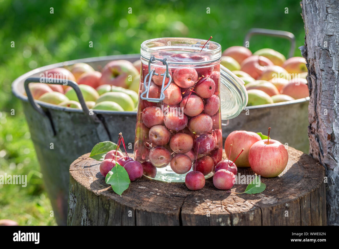 Canned apples hi-res stock photography and images - Alamy