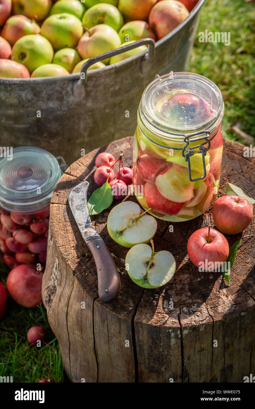Homemade and sweet canned apples in the jar in garden Stock Photo - Alamy