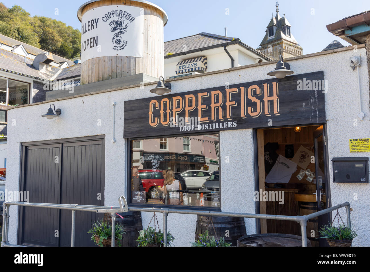 Copperfish hi-res stock photography and images - Alamy