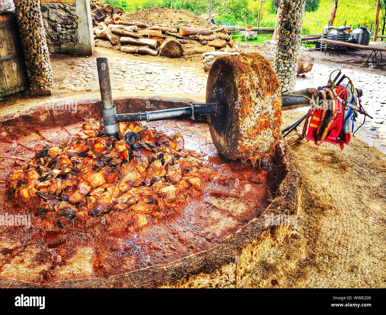 Mezcal mescal distillery oaxaca hi-res stock photography and images - Alamy