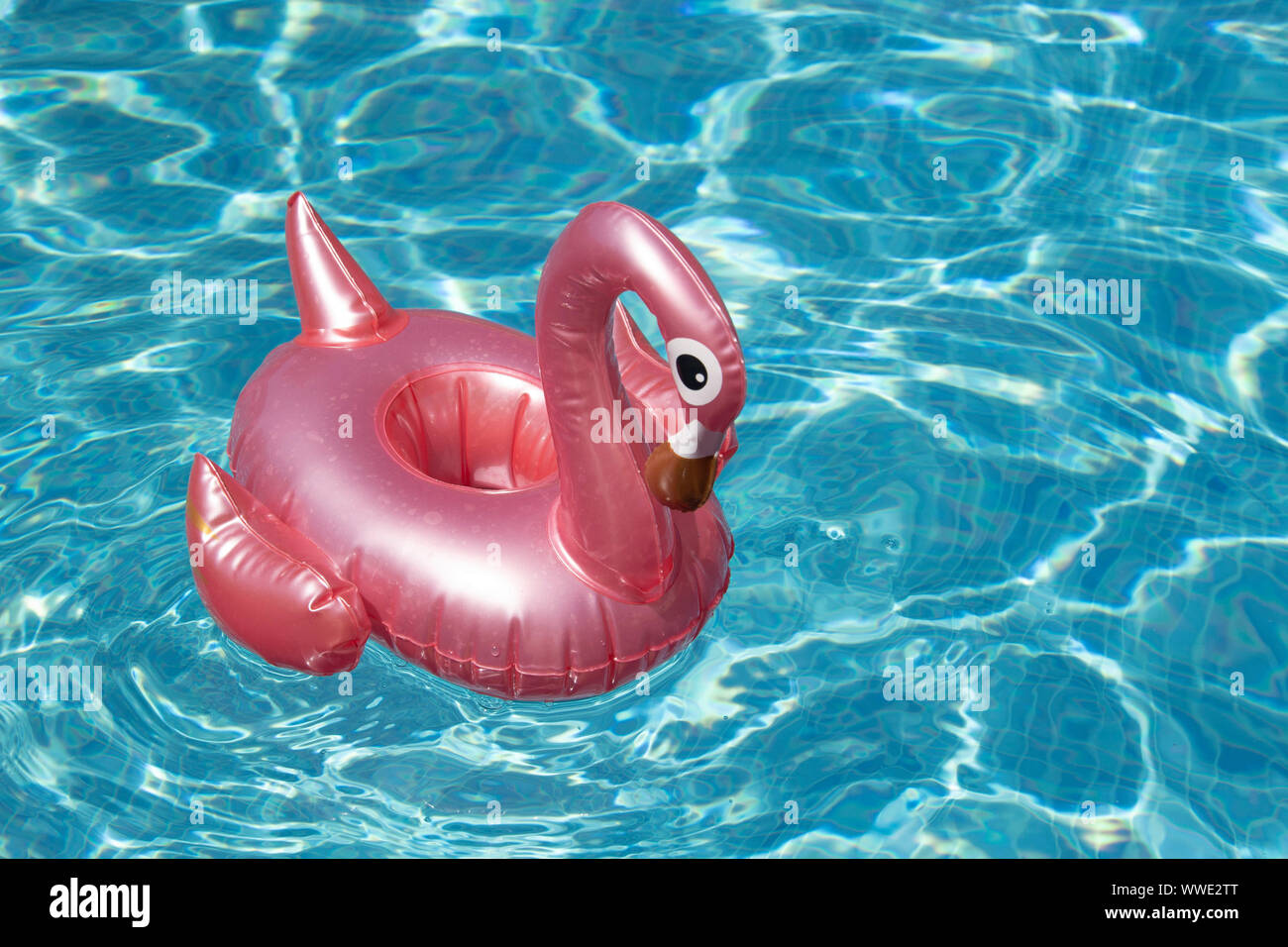 PINK FLAMINGO IN A SWIMMING POOL Stock Photo - Alamy
