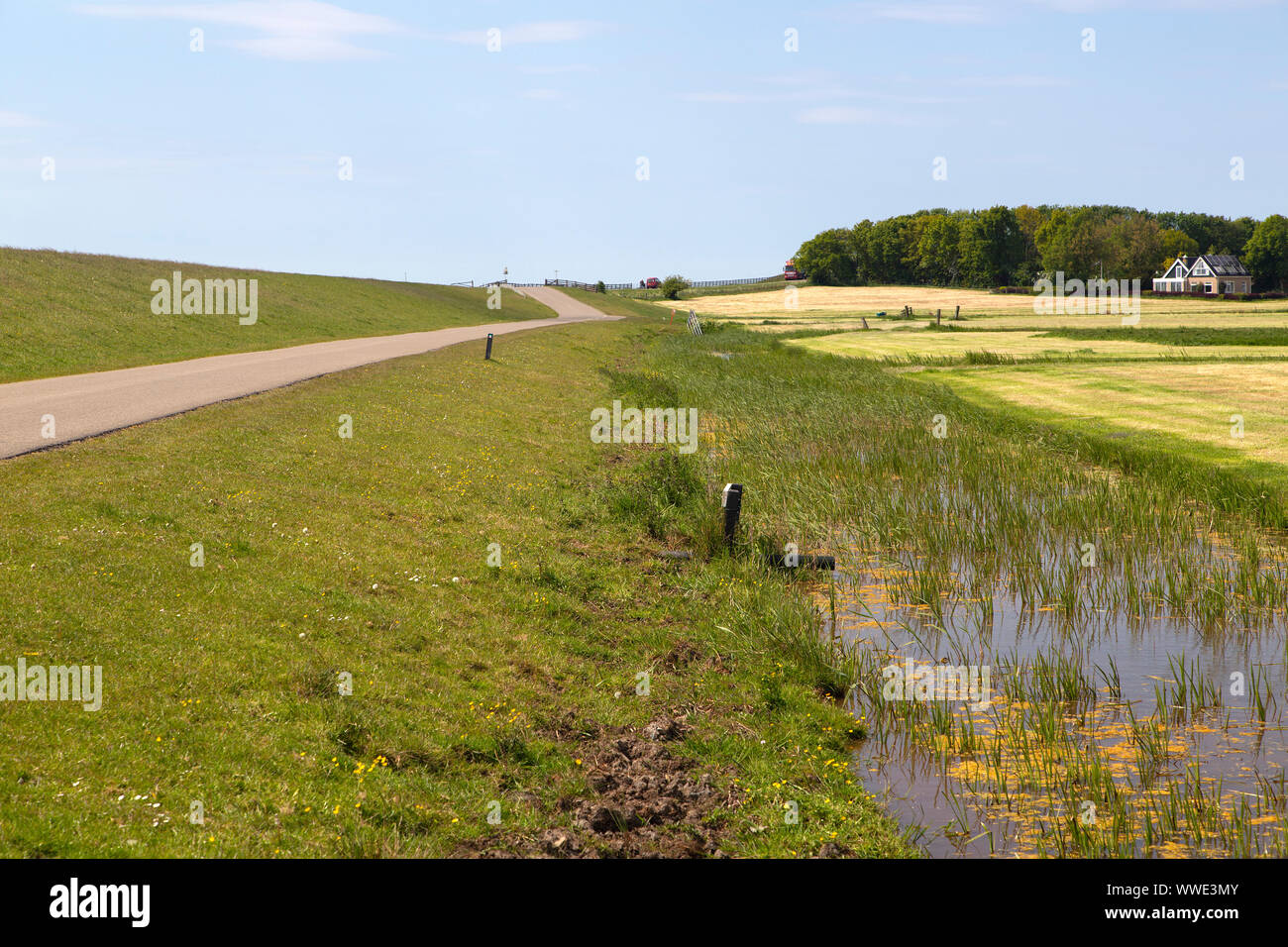 Typical rural landscape with dike of southwestern part of Dutch ...