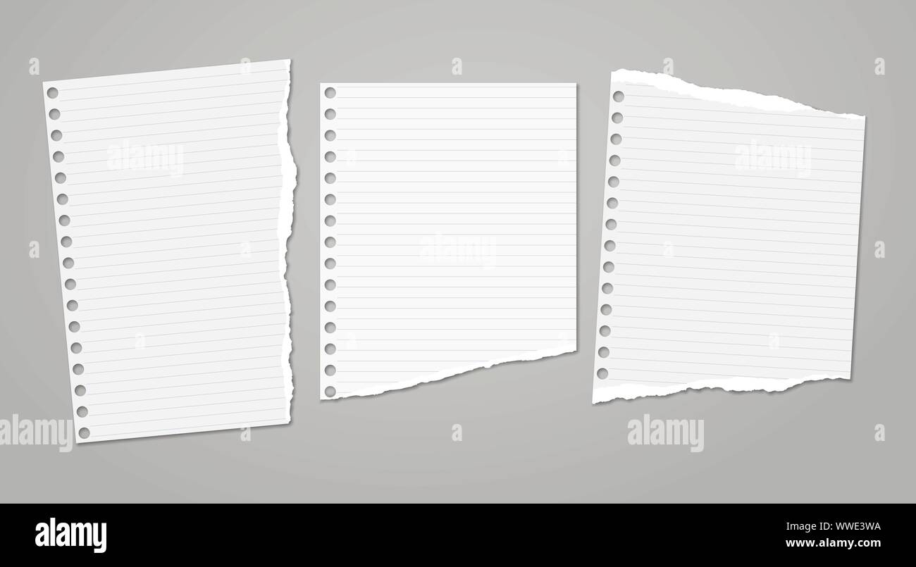 Set of torn white note, notebook paper pieces stuck on dark grey ...