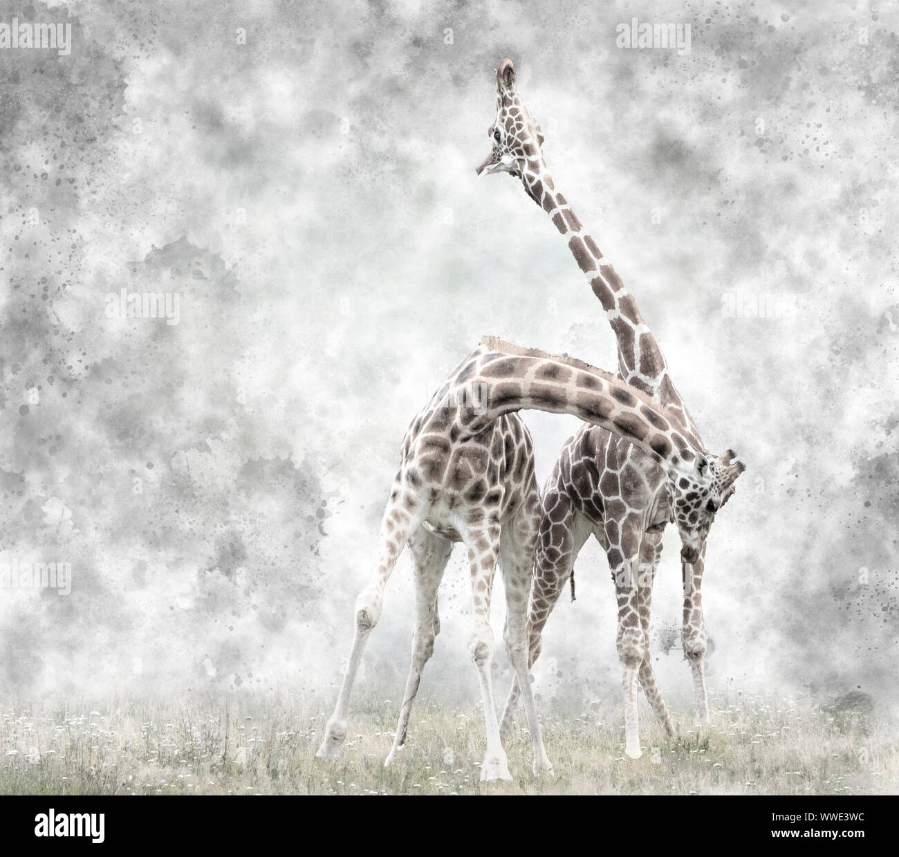 Giraffe art hi-res stock photography and images - Alamy