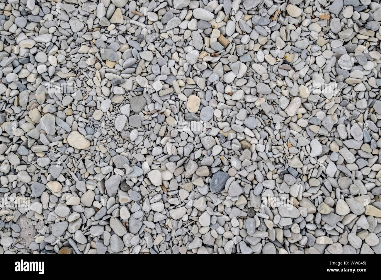 Background texture pebble on the seashore. rounded stone Stock Photo ...