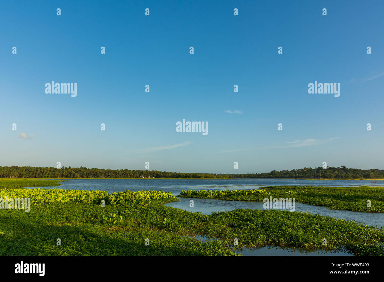 Vellayani trivandrum hi-res stock photography and images - Alamy