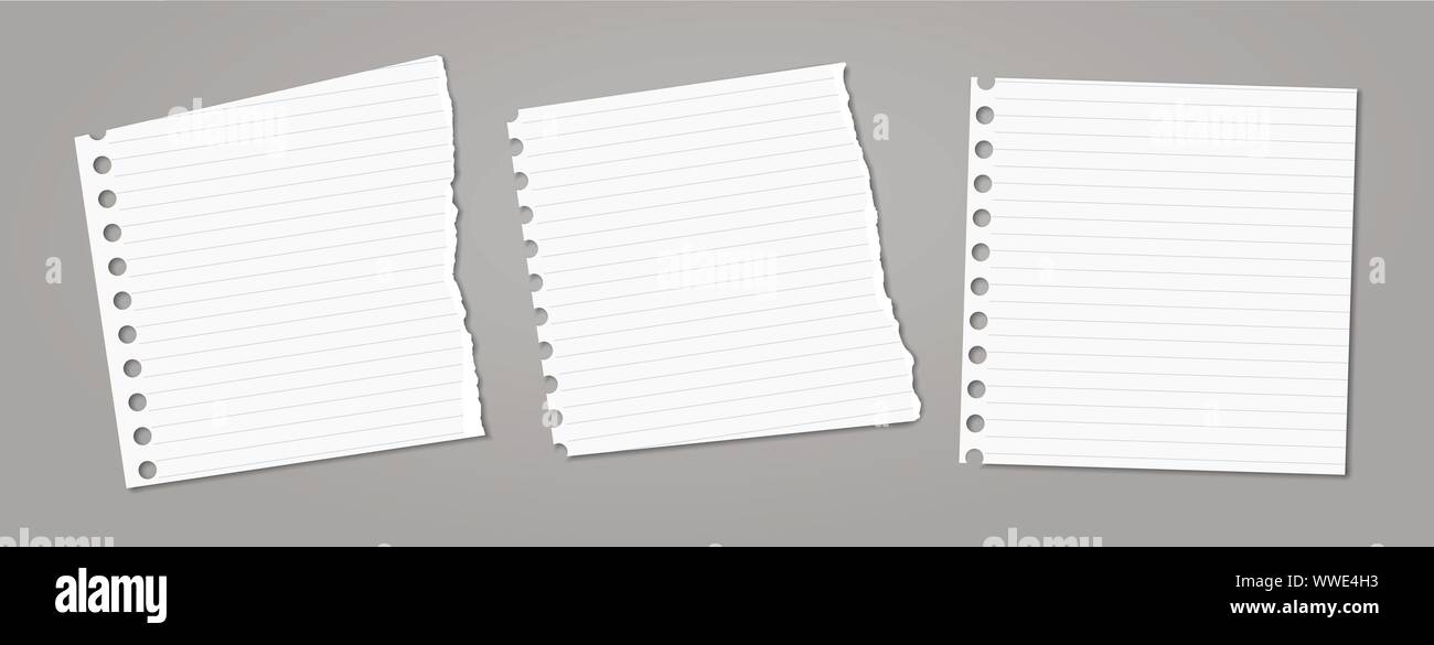 Set of torn white note, notebook paper pieces stuck on dark grey ...