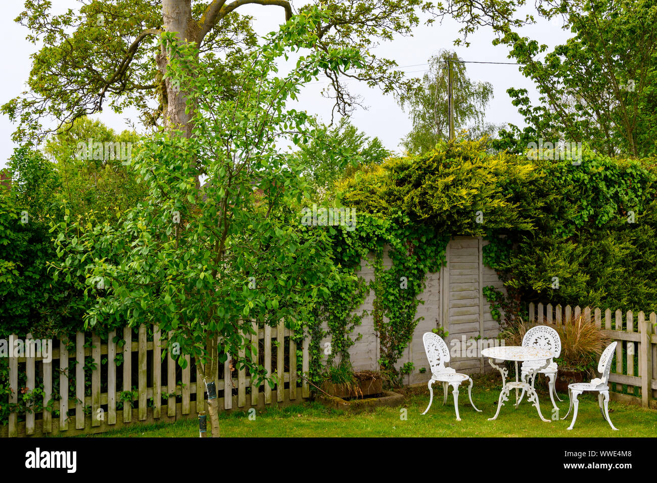 Tree lined lawn hi-res stock photography and images - Alamy