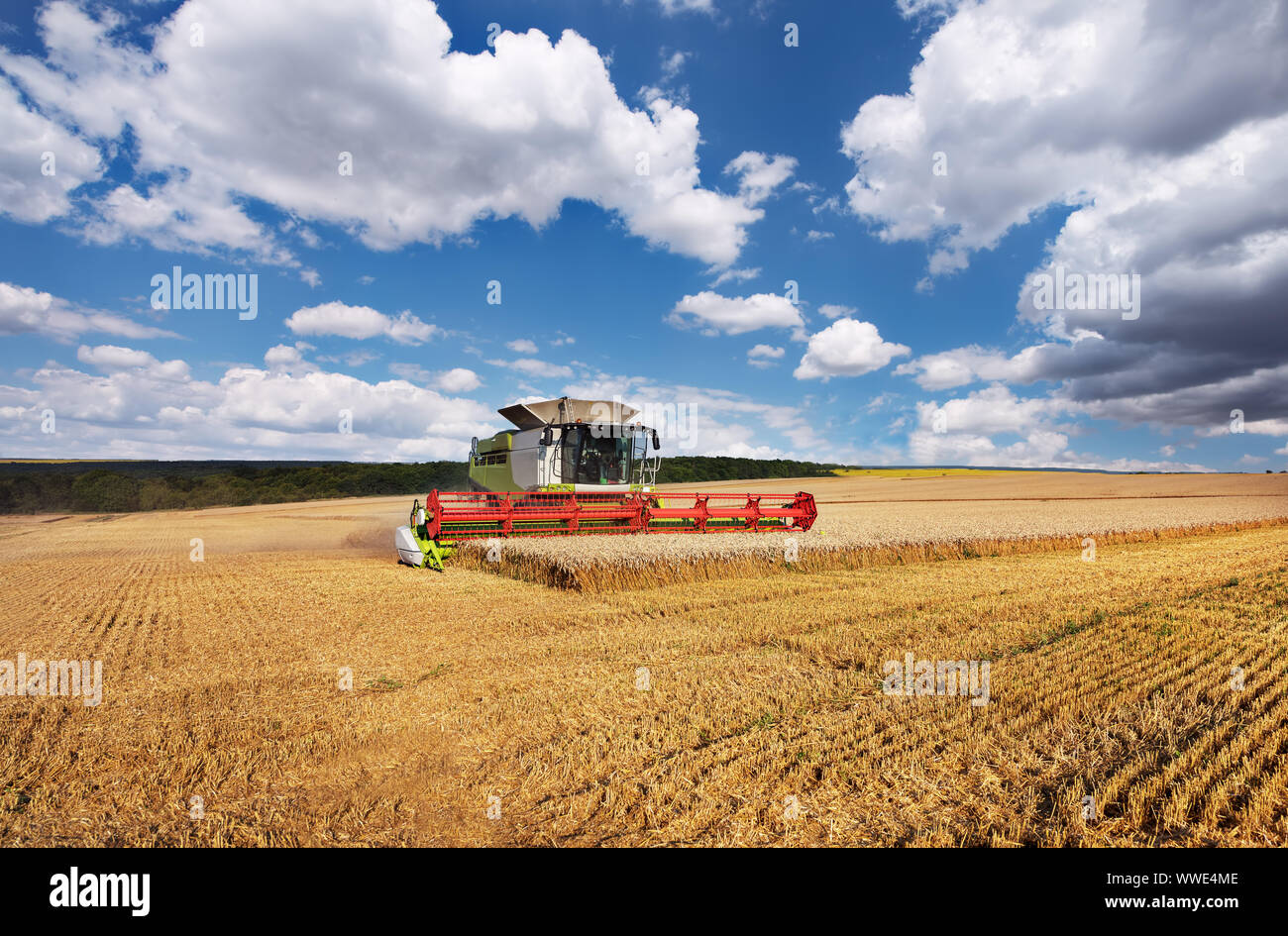 Combine harvester in action on wheat field Stock Photo - Alamy
