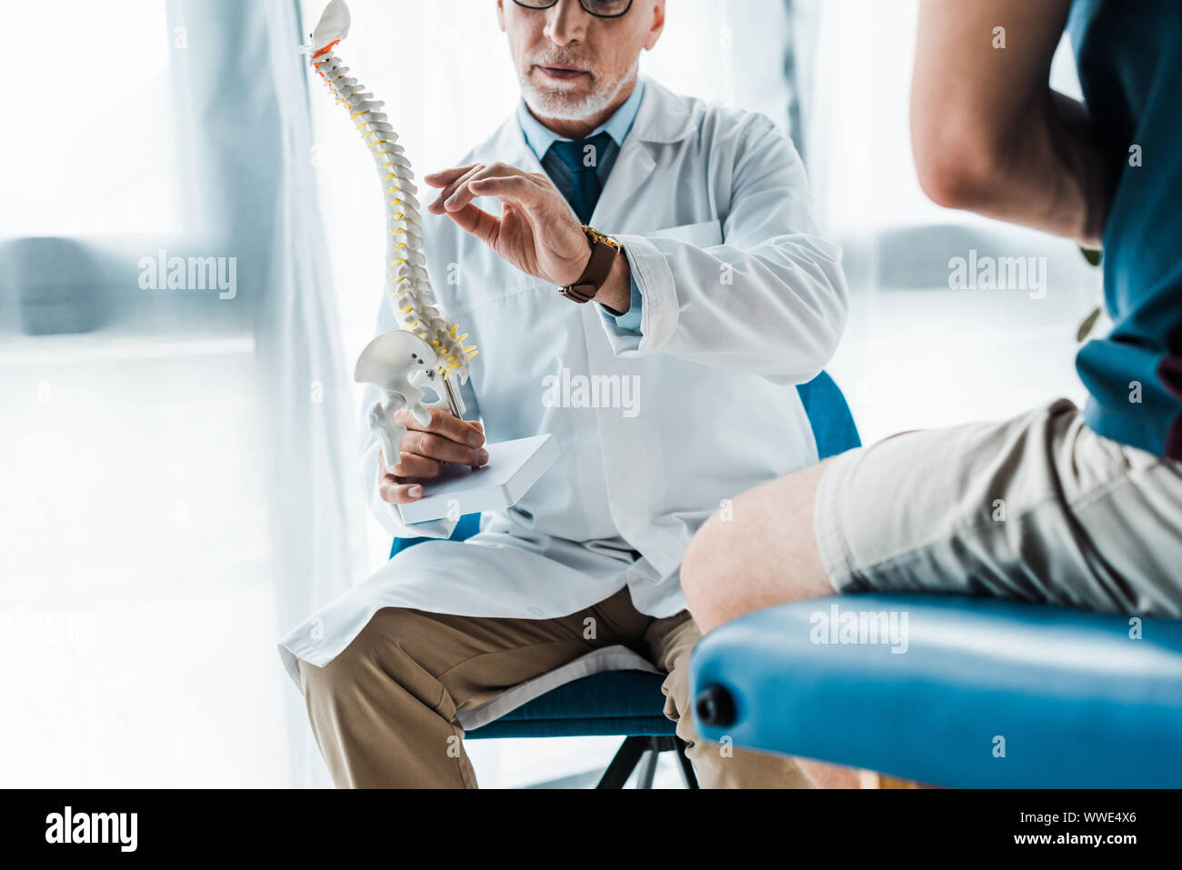Selective focus spine model hi-res stock photography and images - Alamy