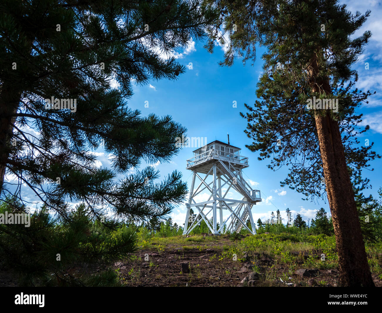 Forest fire lookout tower hi-res stock photography and images - Alamy