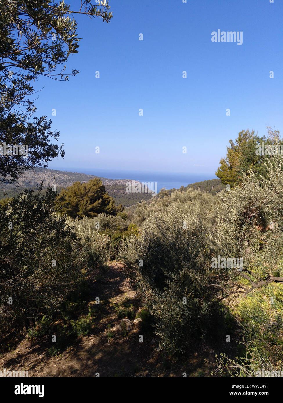 Hiking In Soller Mallorca Spain Stock Photo Alamy Hiking In Soller Mallorca Spain Stock Photo Alamy