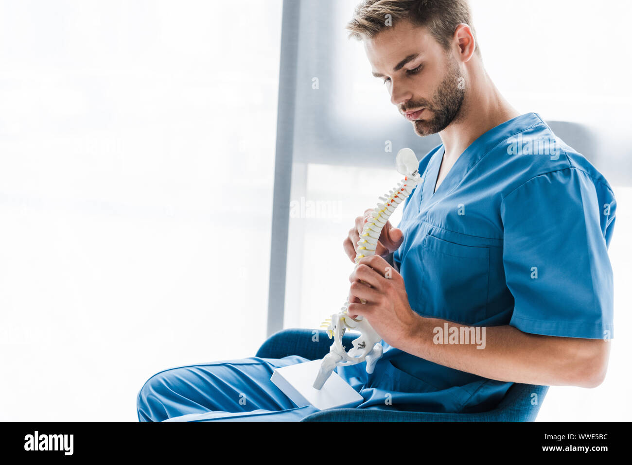 handsome doctor looking at spine model while sitting in armchair Stock ...
