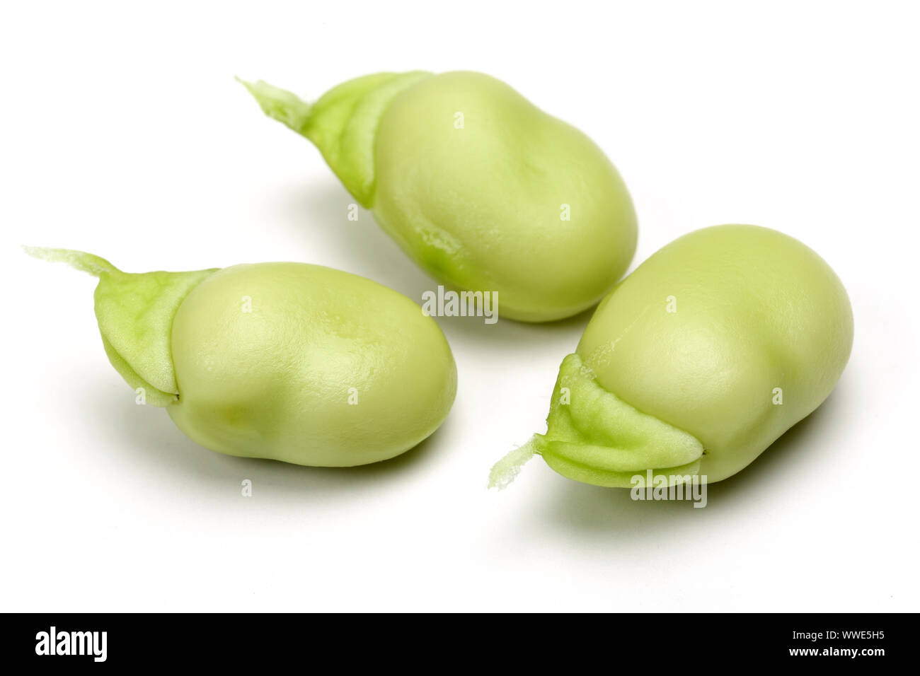 Fresh green broad beans isolated on white background Stock Photo - Alamy