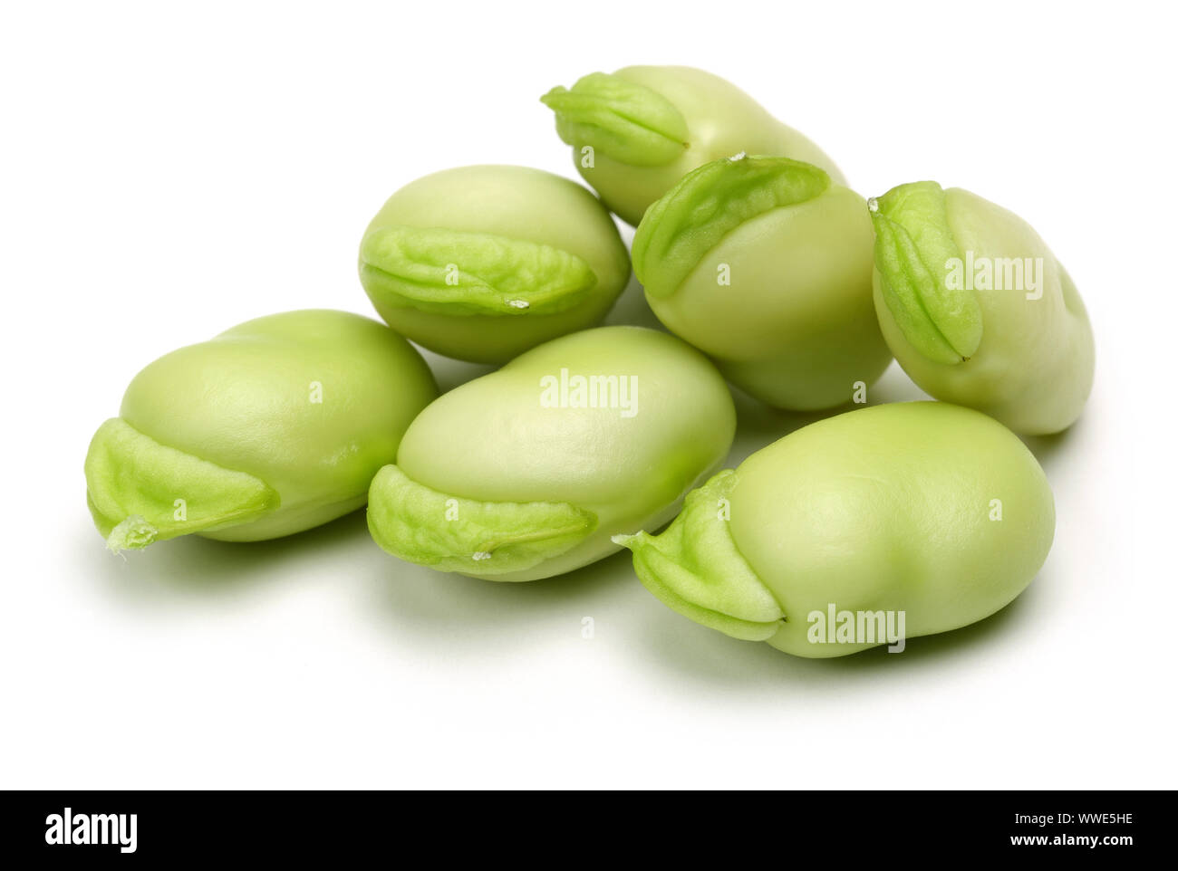 Fresh green broad beans isolated on white background Stock Photo - Alamy