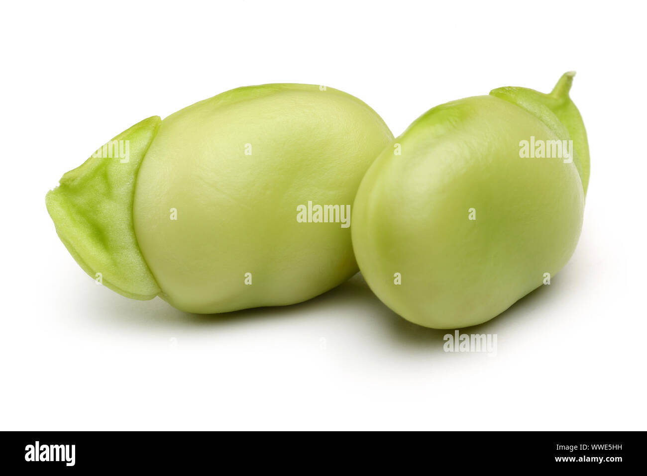 Fresh green broad beans isolated on white background Stock Photo - Alamy