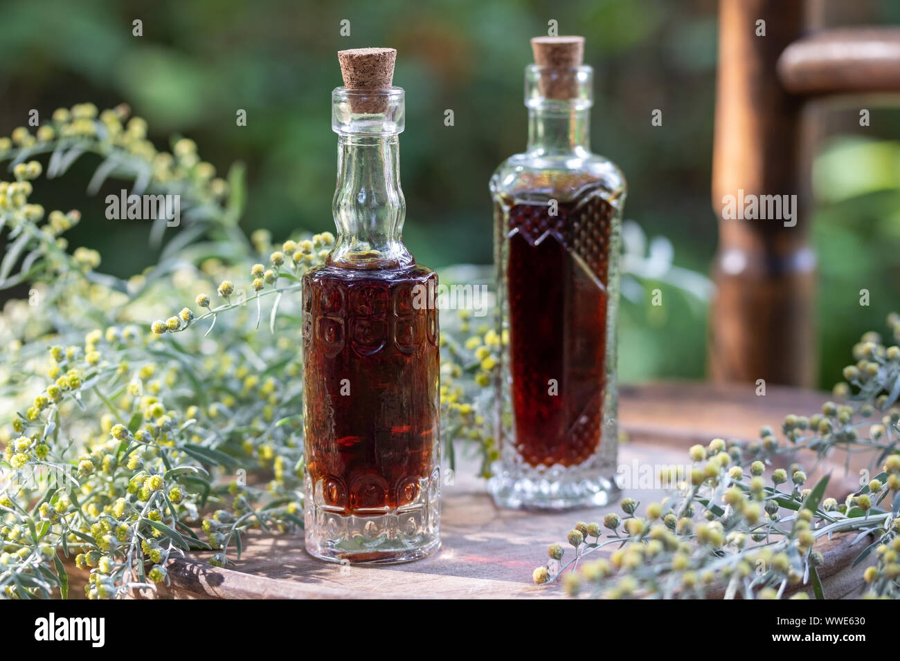 Bottles of herbal tincture with fresh blooming wormwood, or Artemisia ...