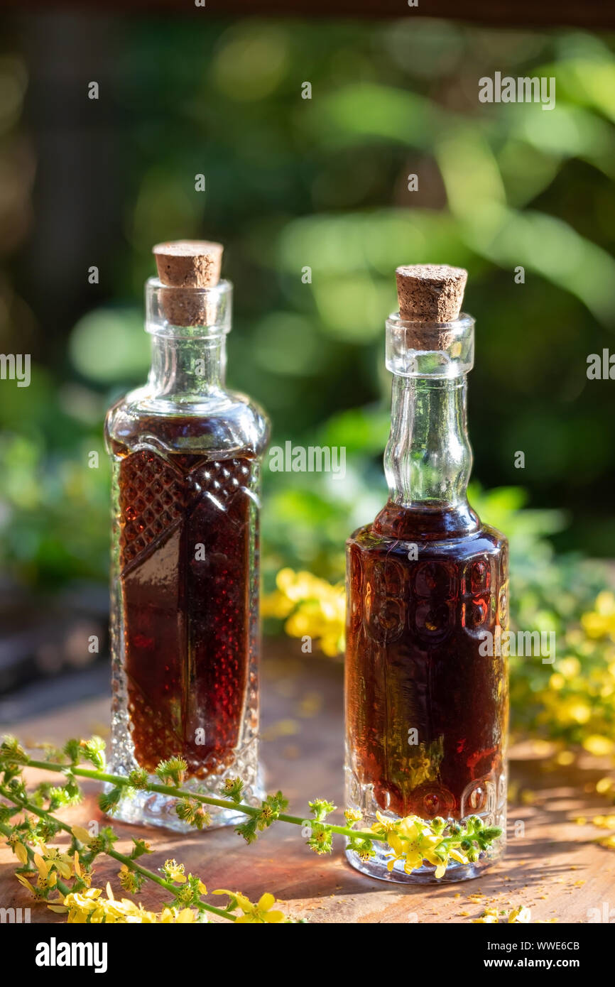 Two bottles of herbal tincture made from fresh blooming agrimony plant ...