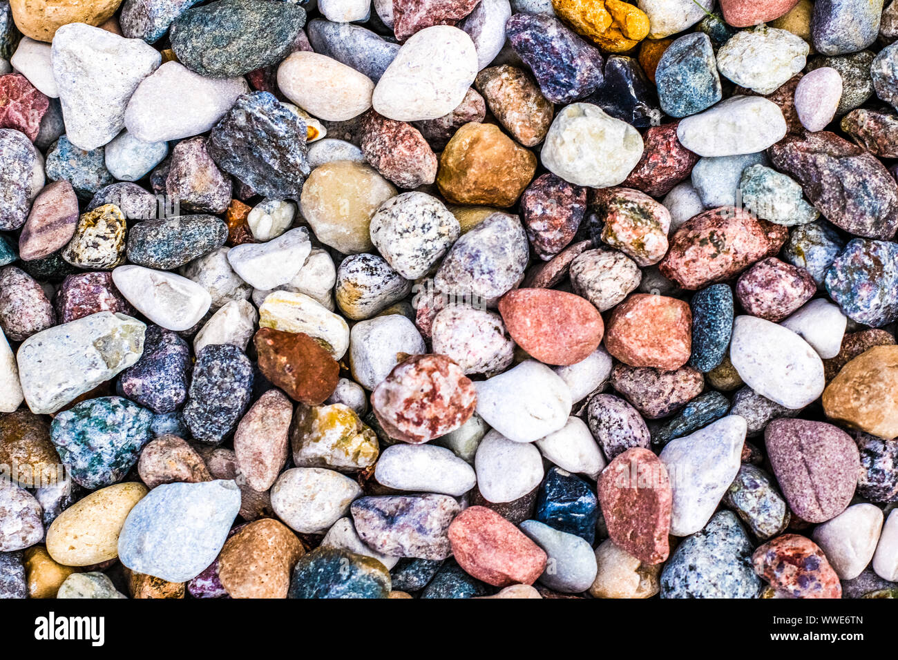 Landscape architecture, interior design and nature elements concept ...