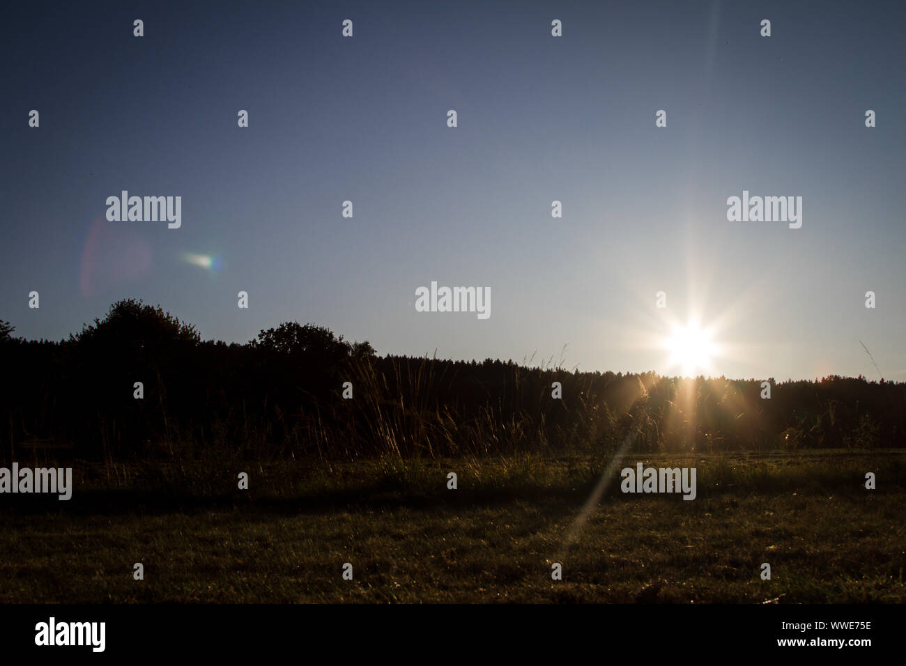 Sundown meadow waldviertel hi-res stock photography and images - Alamy