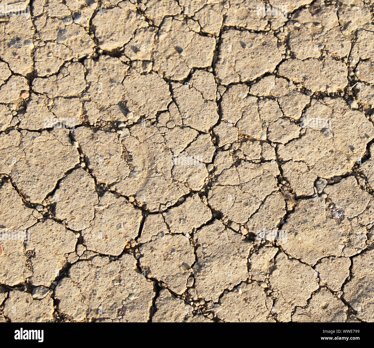 Above the soil surface hi-res stock photography and images - Alamy