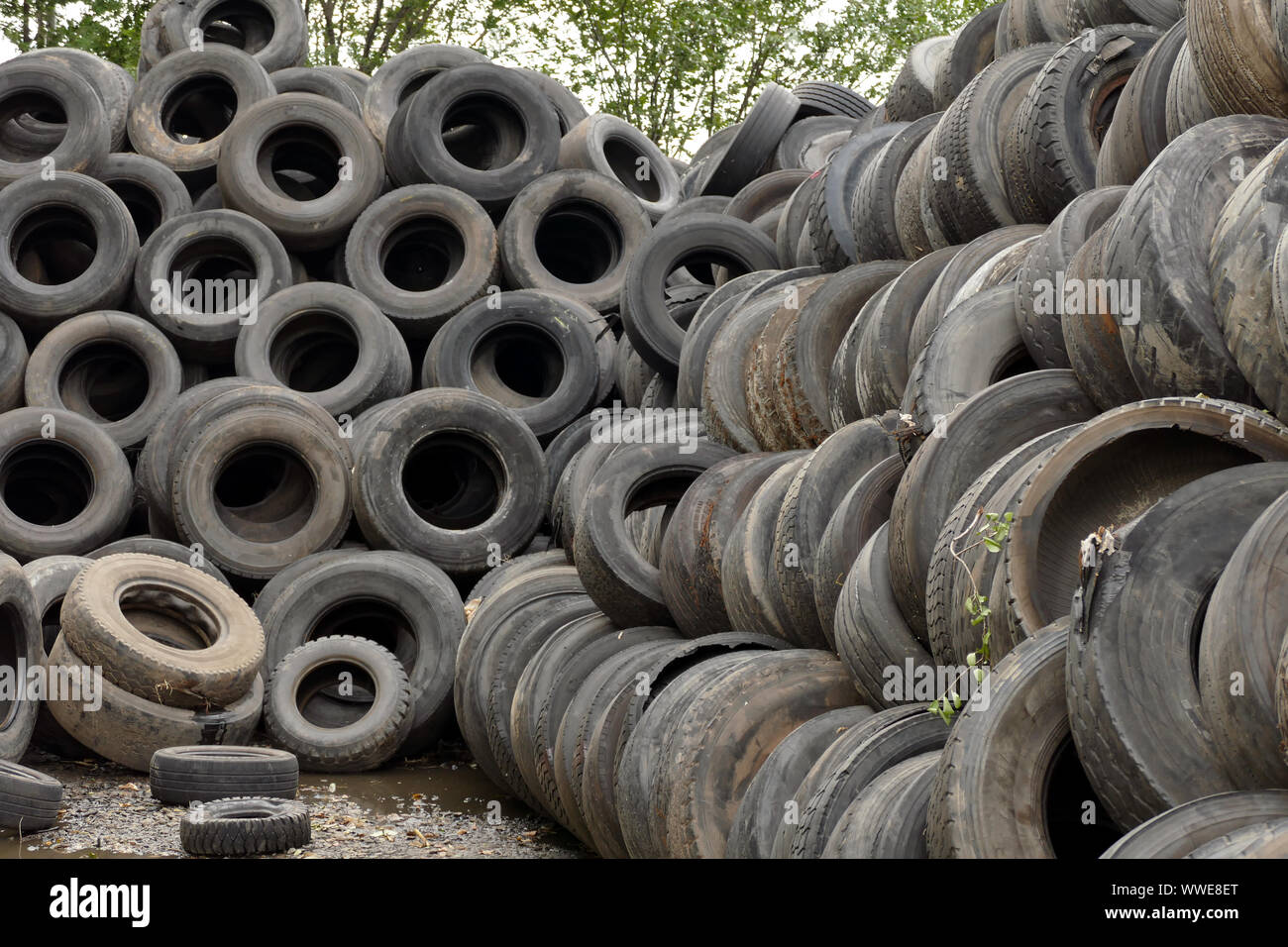Shredded tire hi-res stock photography and images - Alamy