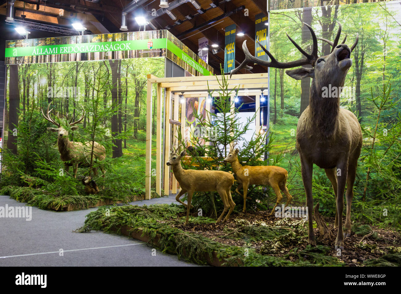 Displays of animal hi-res stock photography and images - Alamy