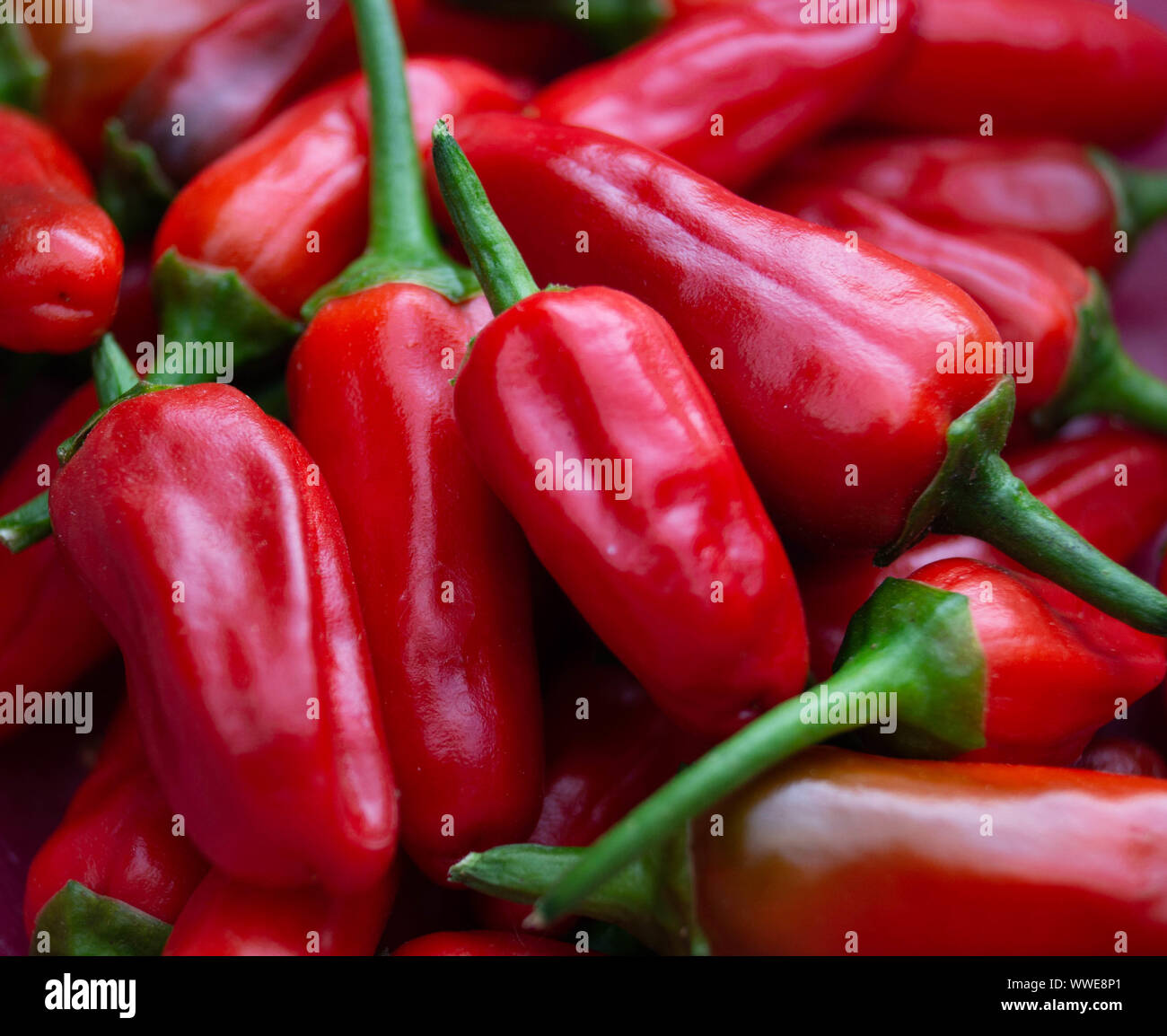 Piri Piri red hot chilli pepper Stock Photo - Alamy