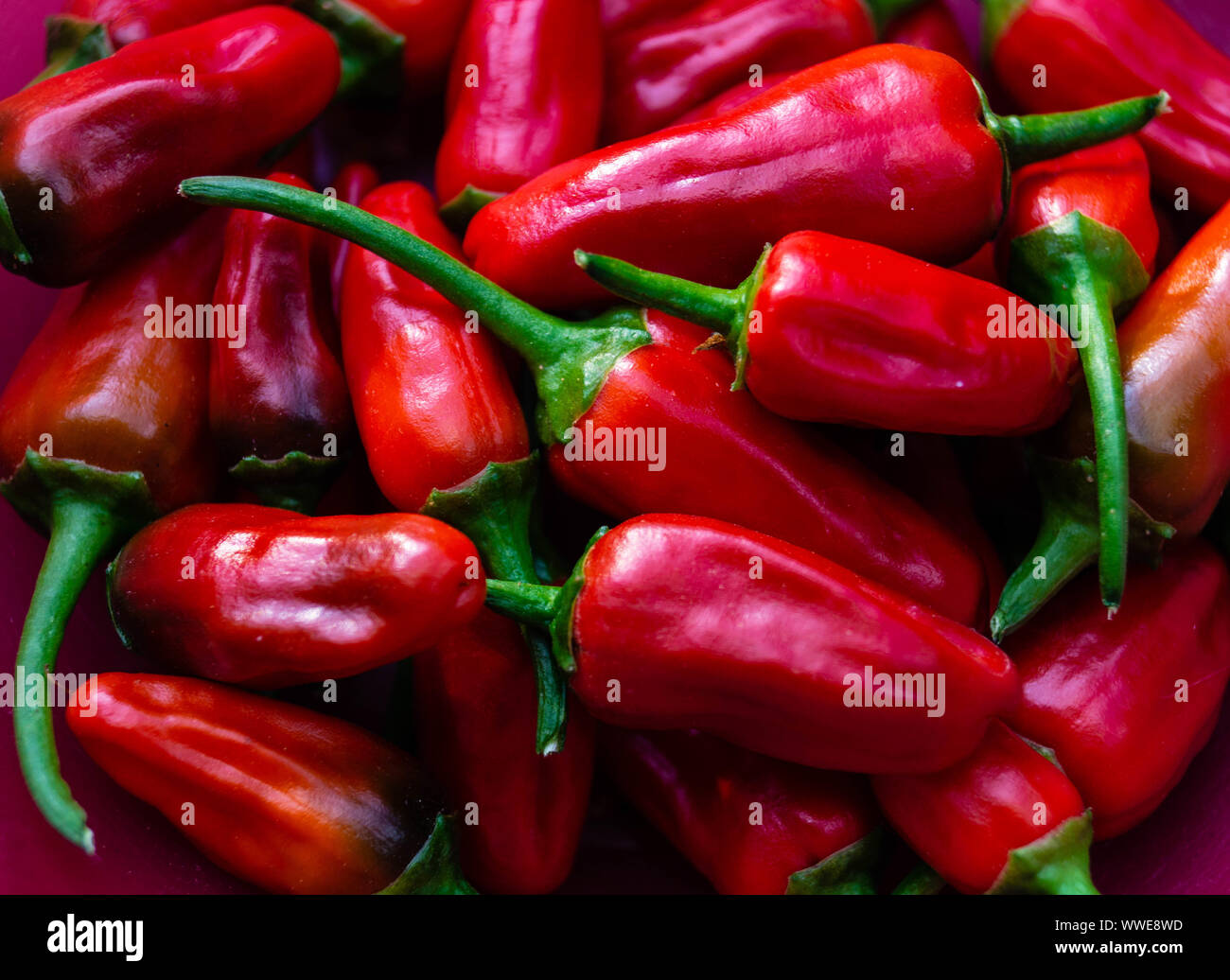 Piri Piri Pepper Stock Photos & Piri Piri Pepper Stock Images - Alamy